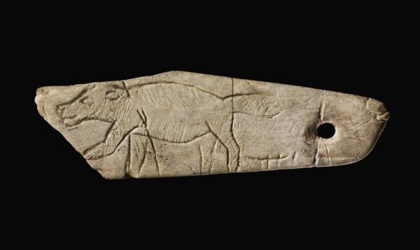 Ice Age Art Now | Bradford 2025