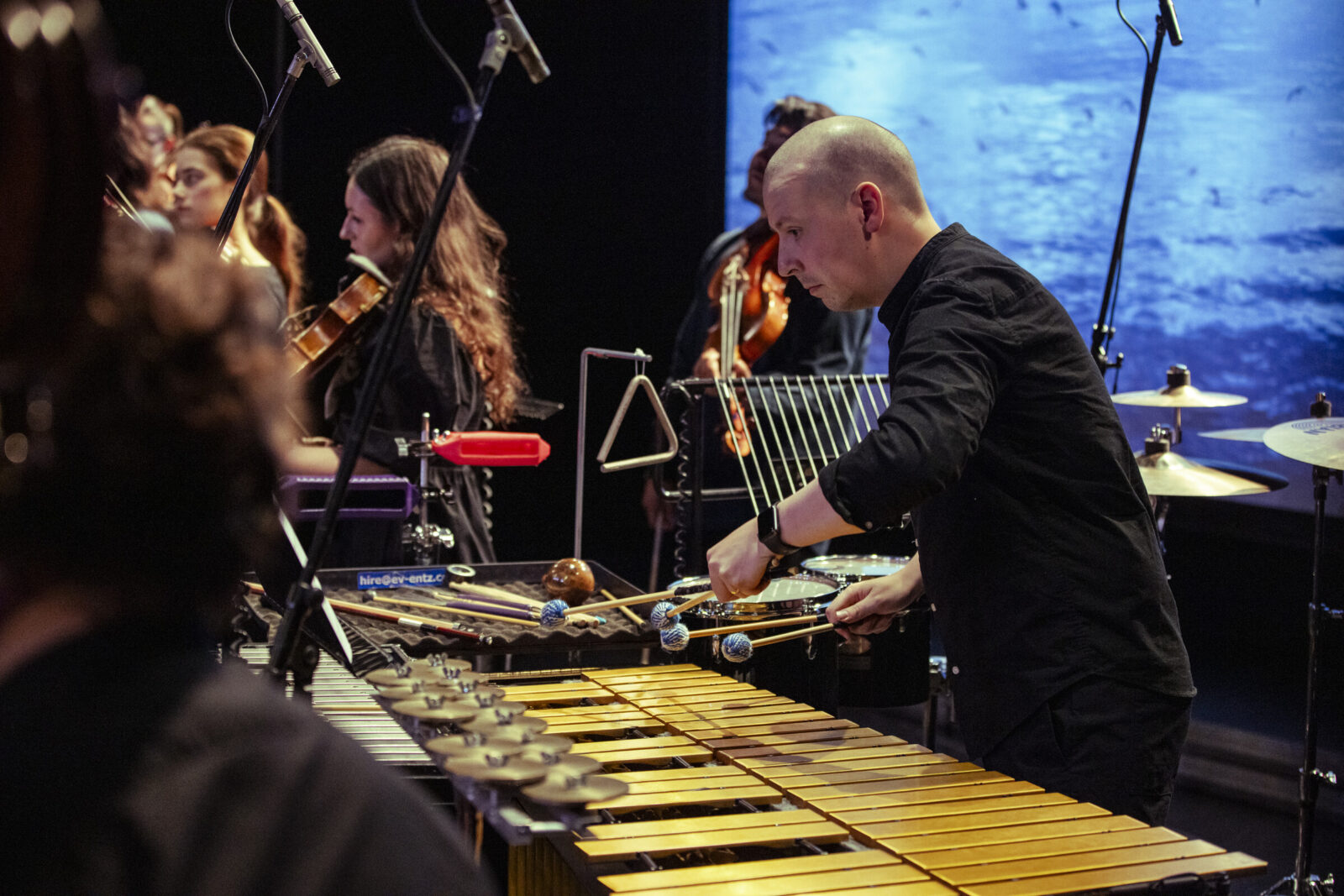 Chasing Sunlight | Bradford 2025