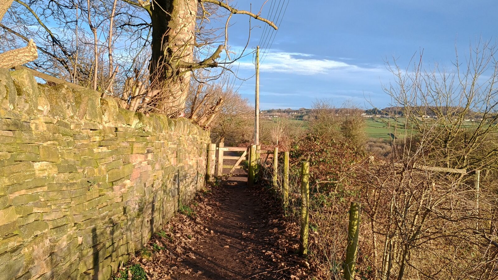Guided Walk: Baildon Moor Circular | Bradford 2025